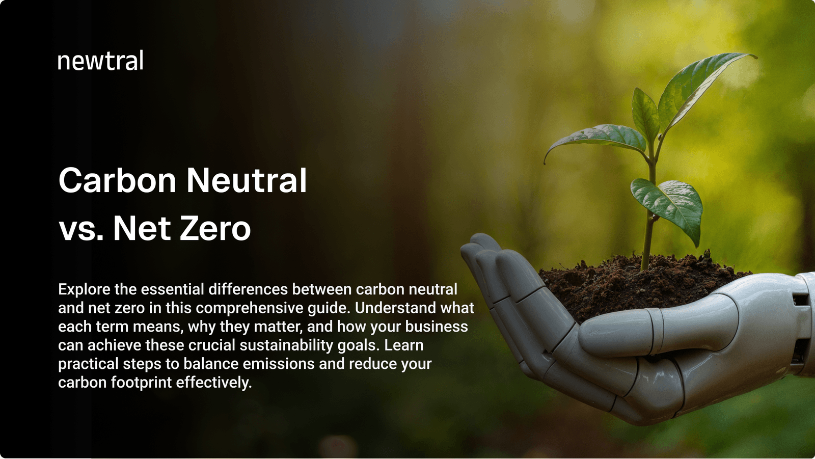 Carbon Neutral vs. Net Zero: Key Differences Explained for Your Sustainability Strategy